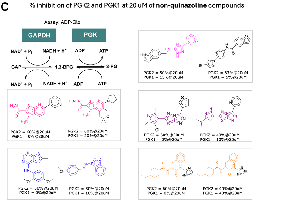 Challenge #7 | CACHE